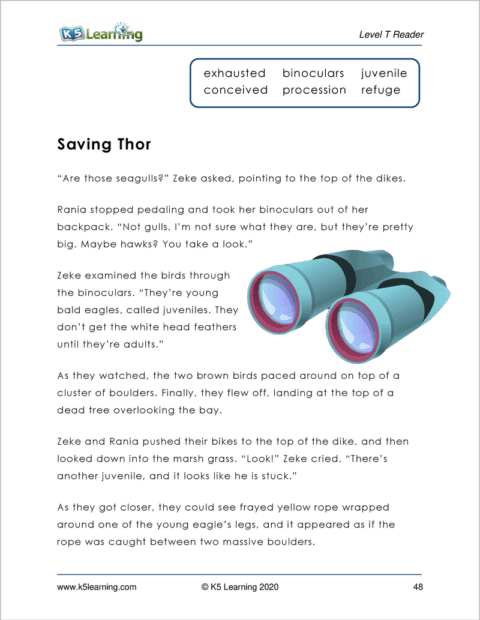 Grade 5 Reading Workbook, Level T | K5 Bookstore
