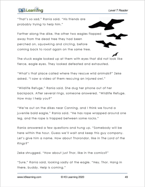 Grade 5 Reading Workbook, Level T | K5 Bookstore