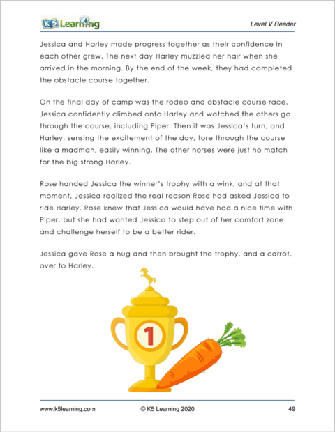 Grade 6 Reading Workbook, Level V | K5 Bookstore